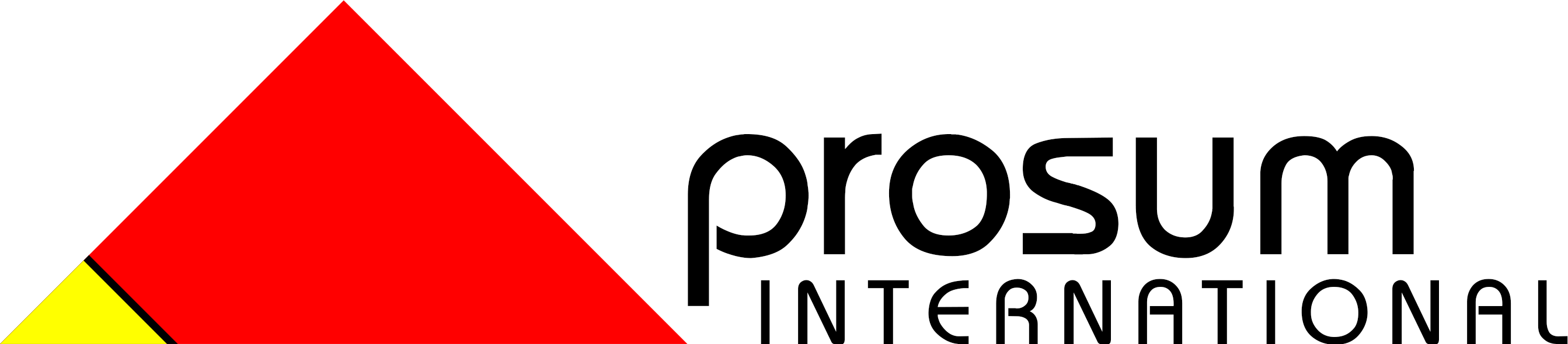 Prosum International LLC